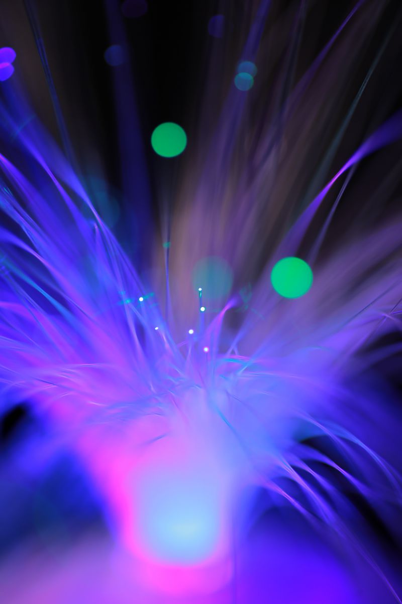 妖しい光花 part.1 | GANREF