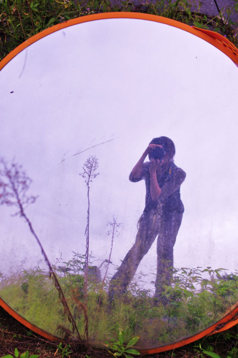 hello there | GANREF