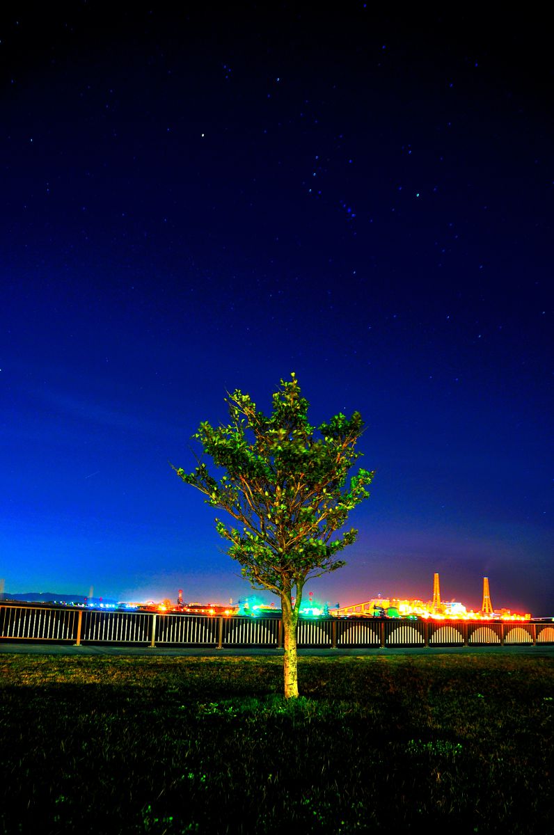 ~Standing Alone~ | GANREF