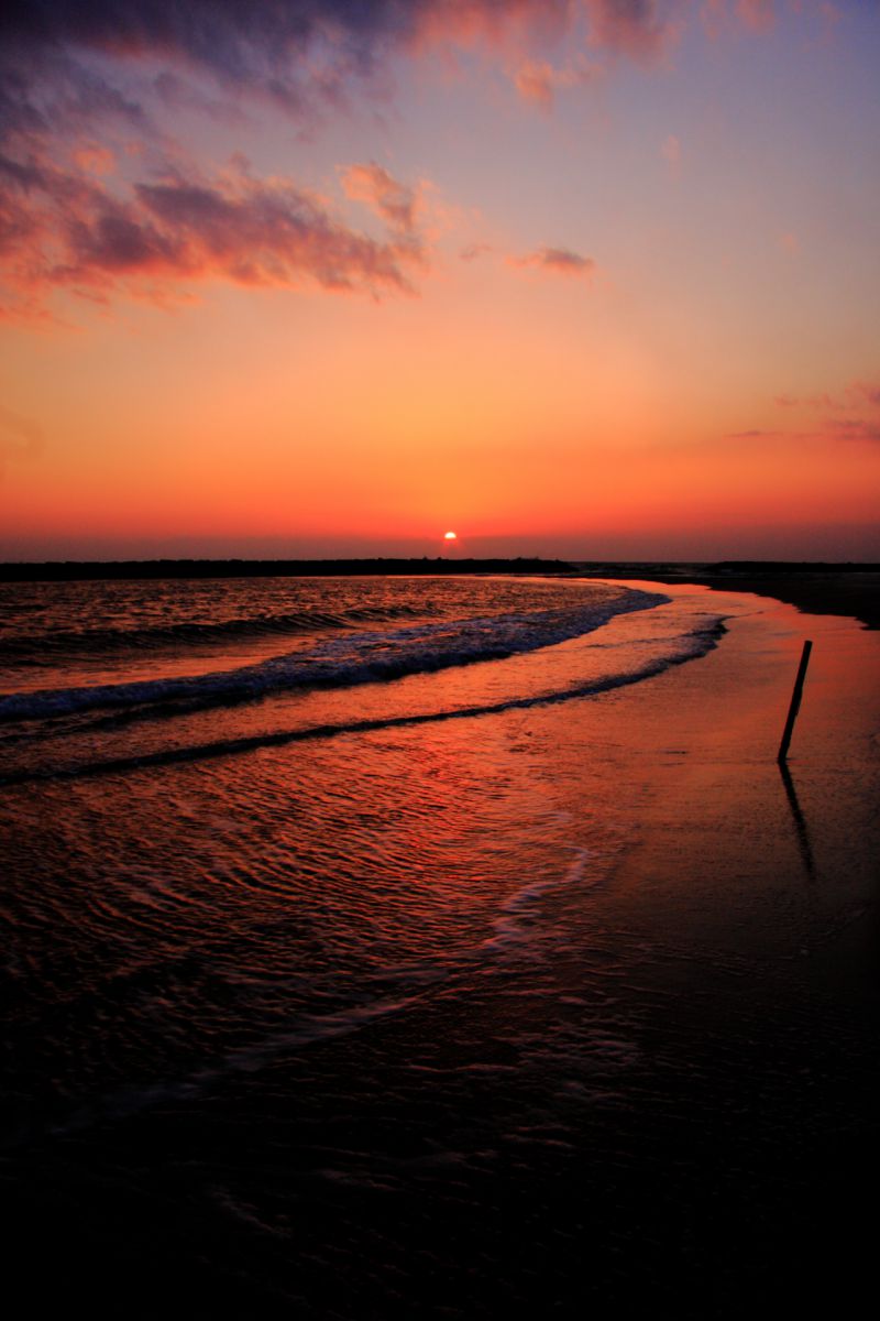 弧波～Arc～ | GANREF