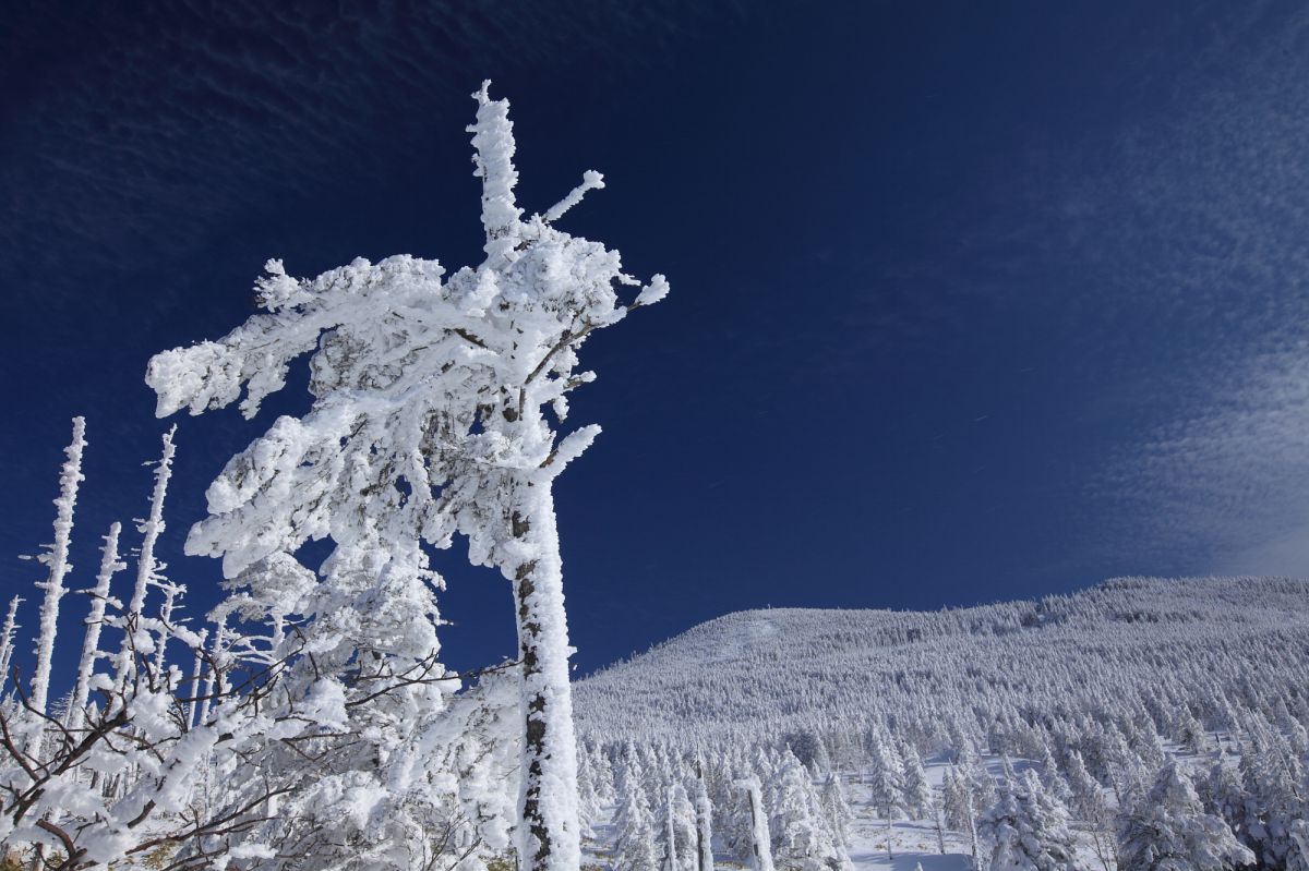 snow marker | GANREF