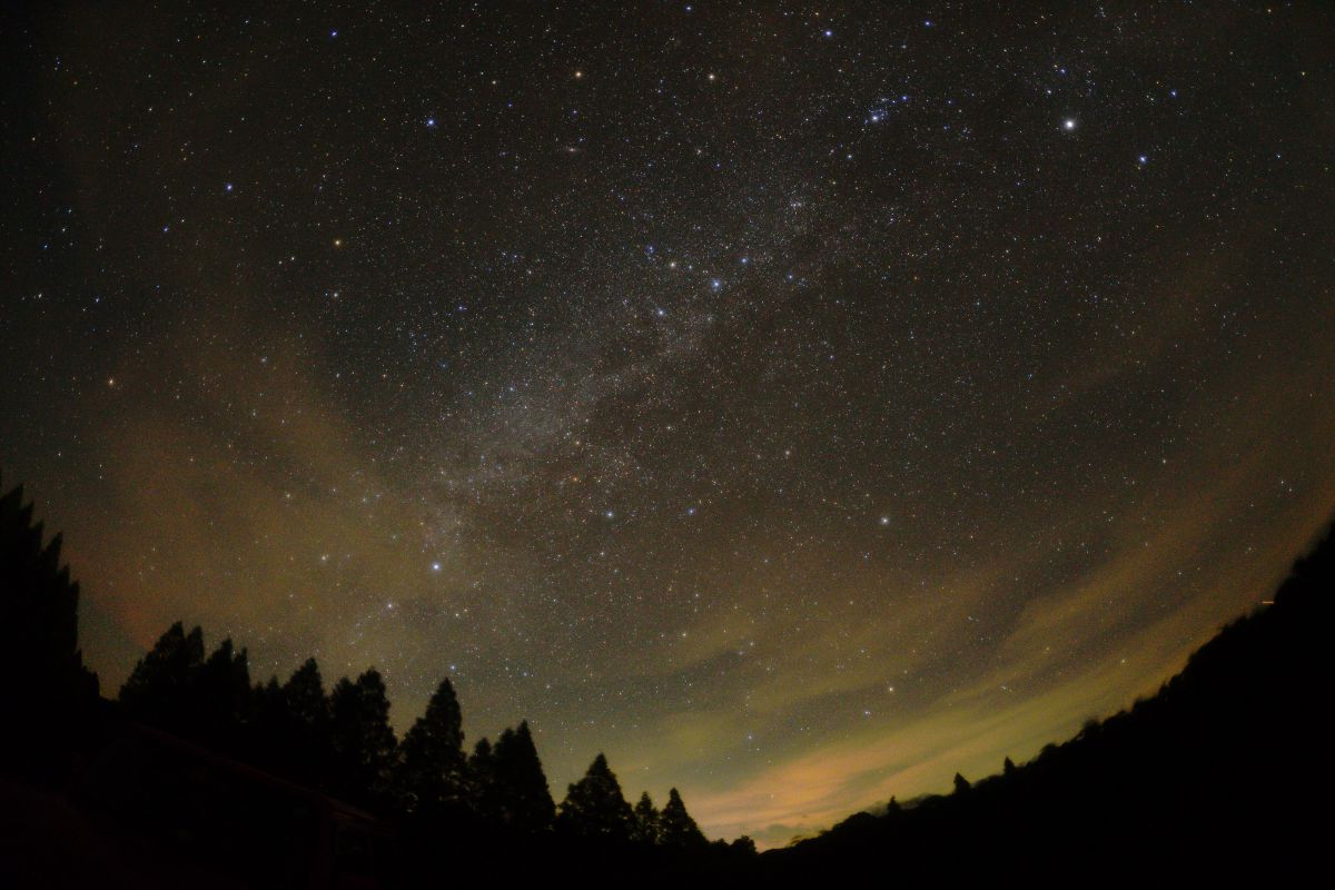 In the Galaxy | GANREF