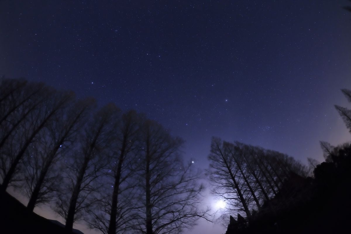 crescent moon | GANREF