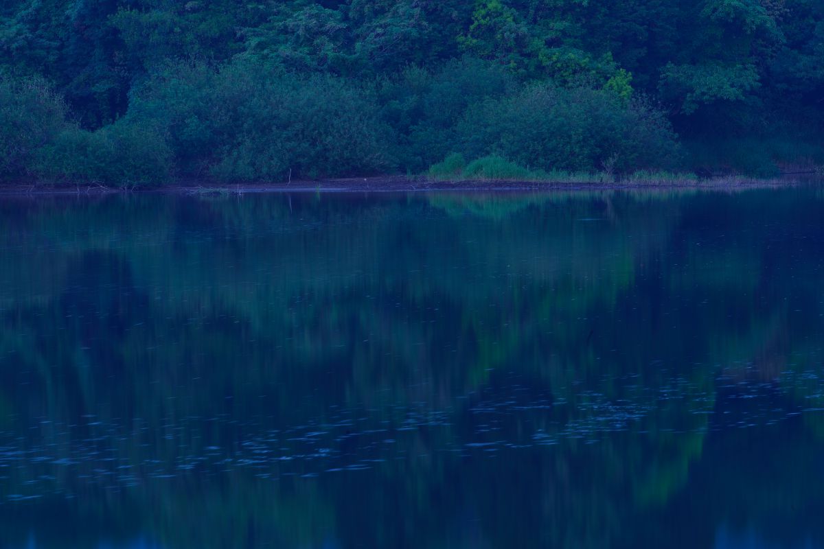 Reflected in the water | GANREF