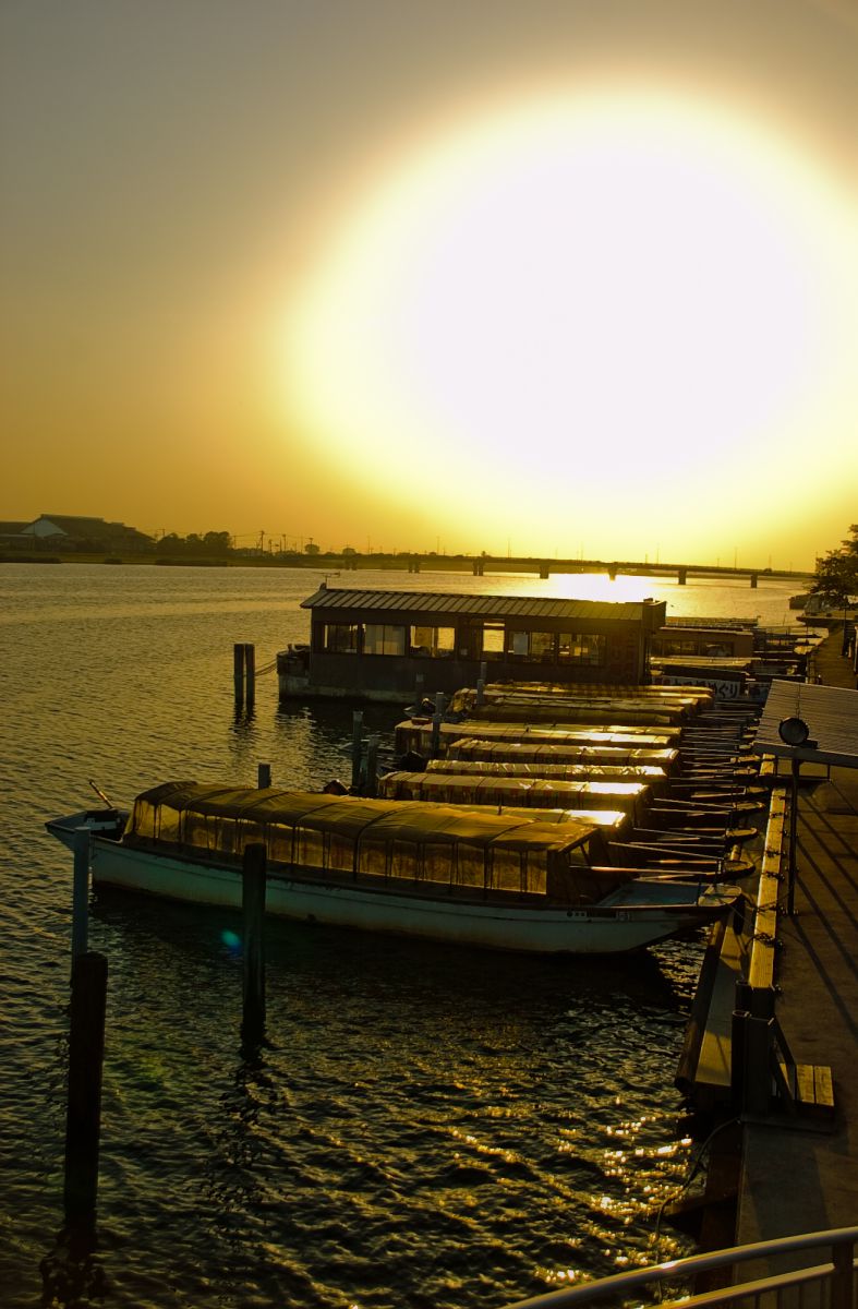 D1テスト | GANREF