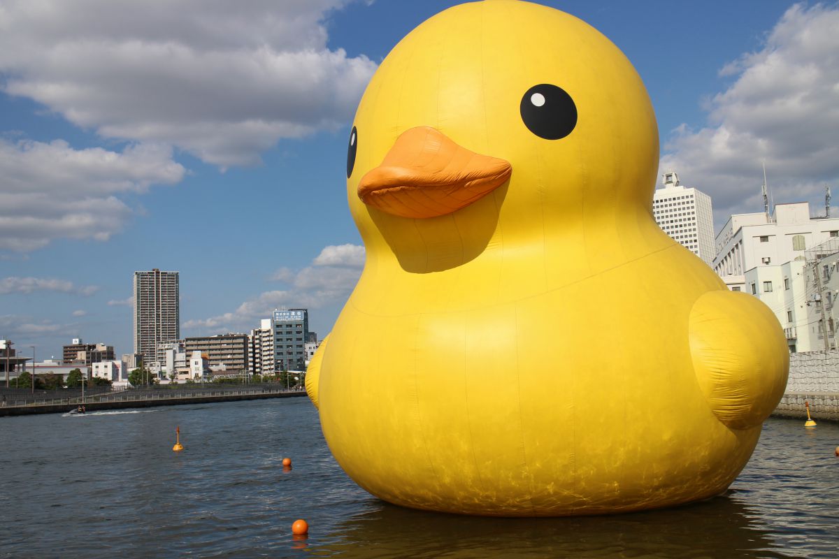 ラバー・ダック2013 | GANREF