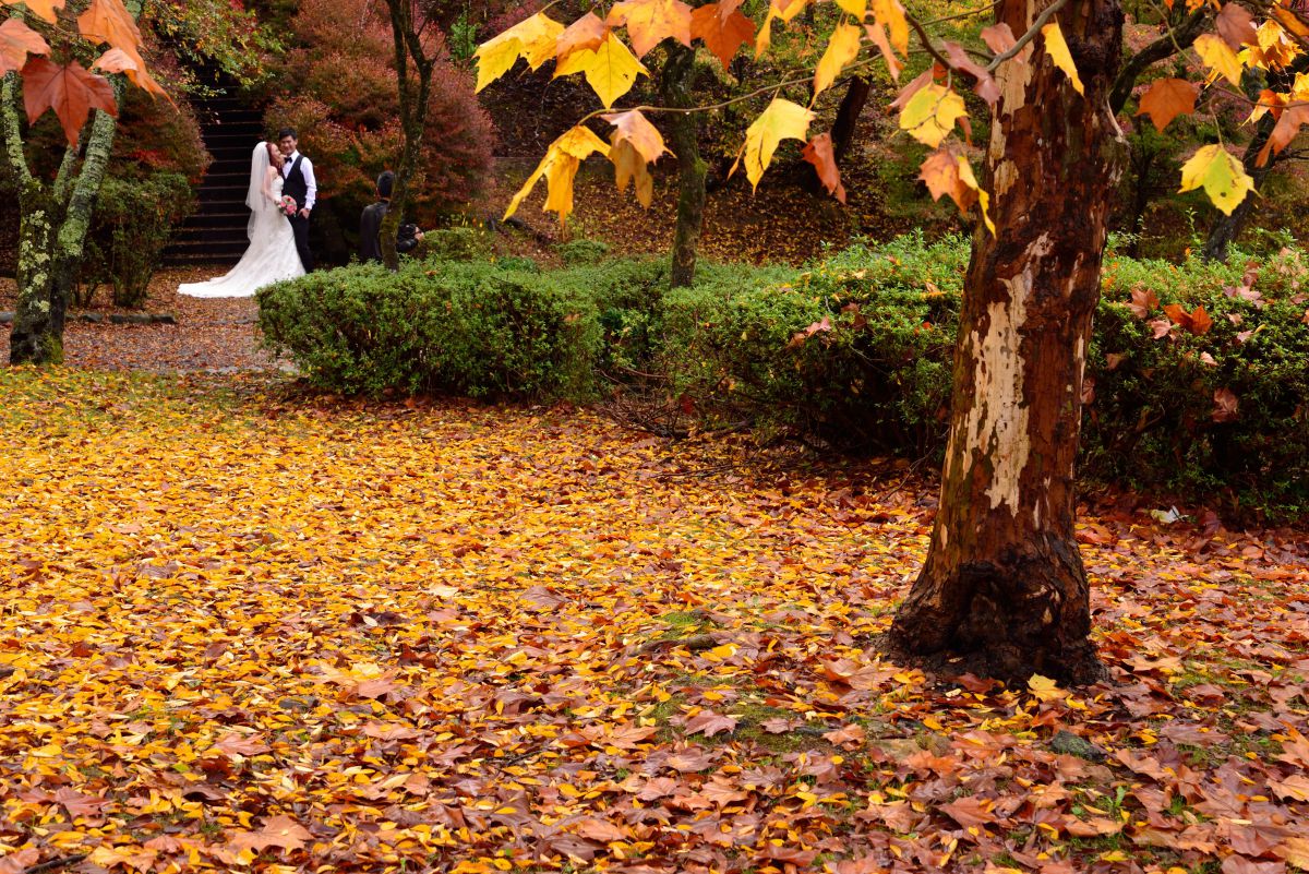 autumn wedding | GANREF