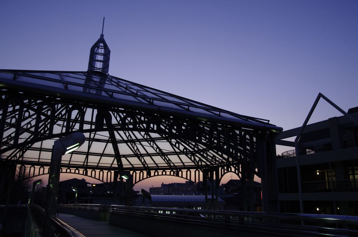 迫りくる夜 | GANREF