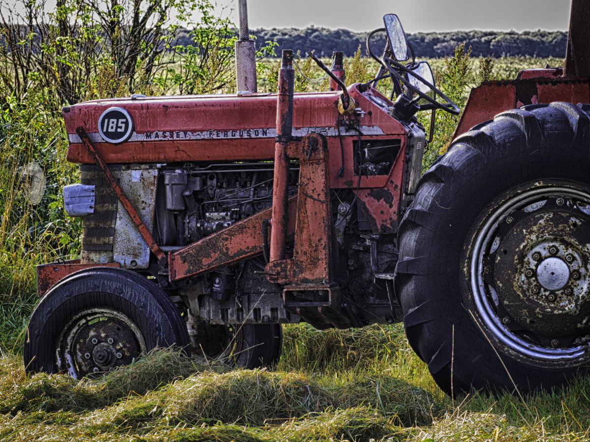 MASSEY FEAGUSON 185 | GANREF