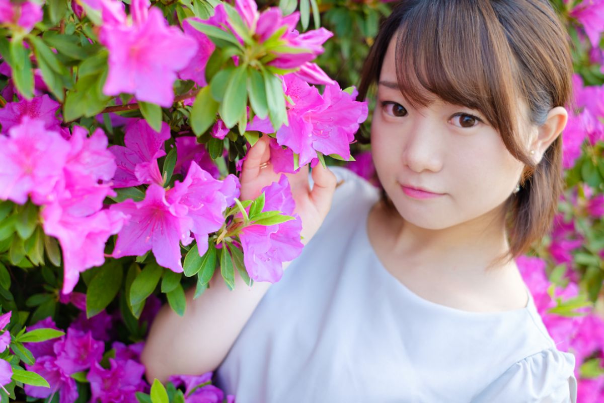 春花 2017 | GANREF