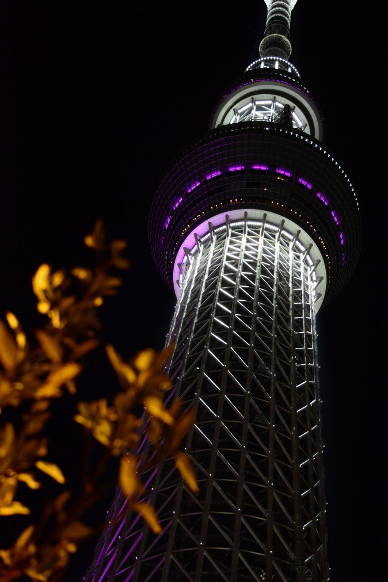 TOKYO SKYTREE | GANREF