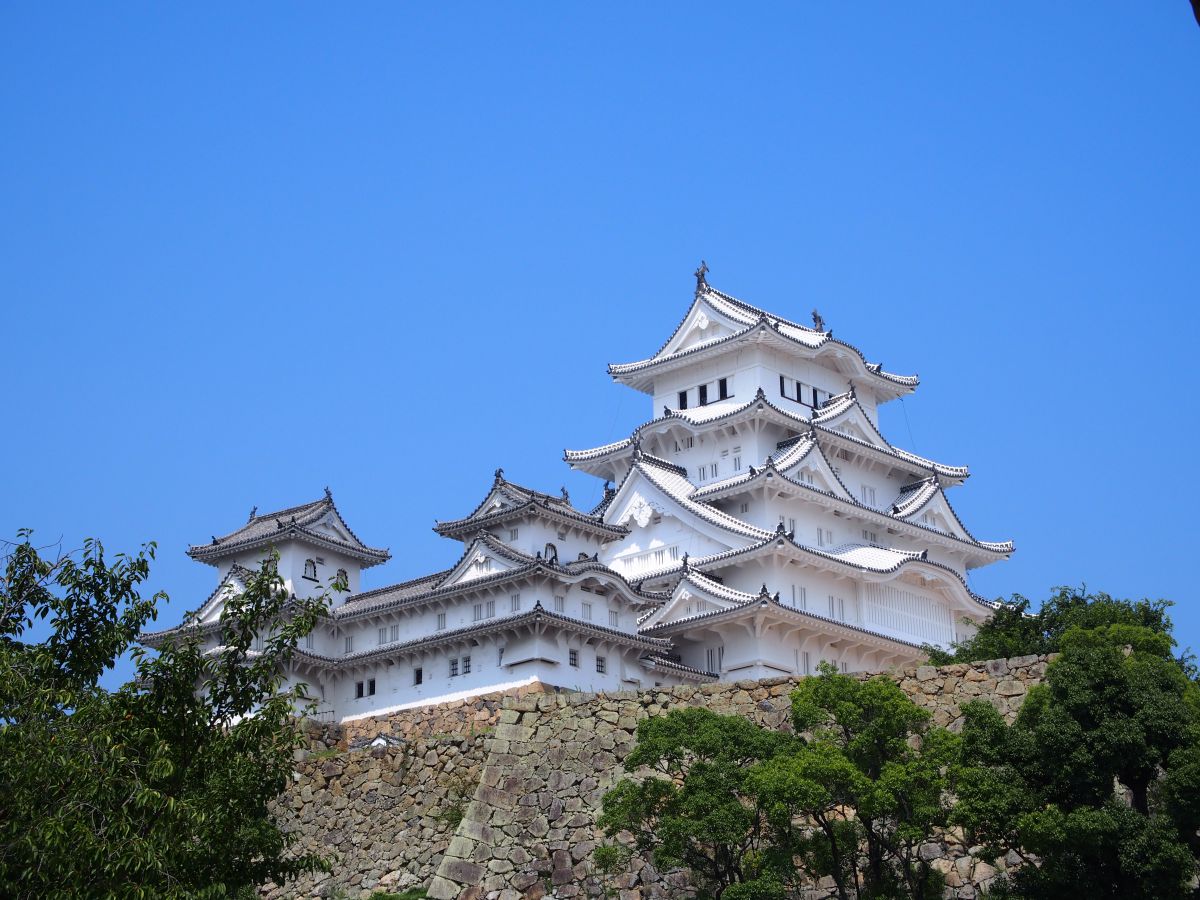 So Cool！！！ | GANREF