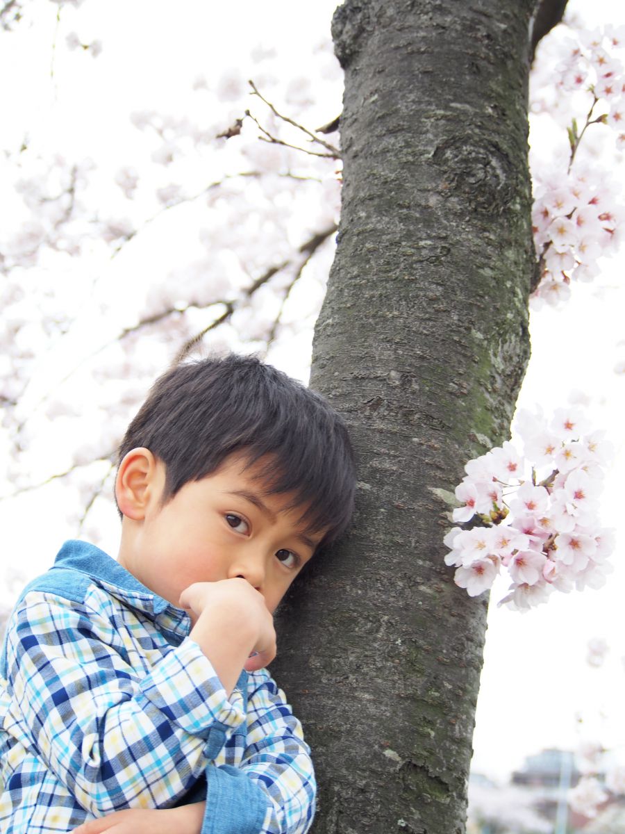 考える(風の)人 | GANREF