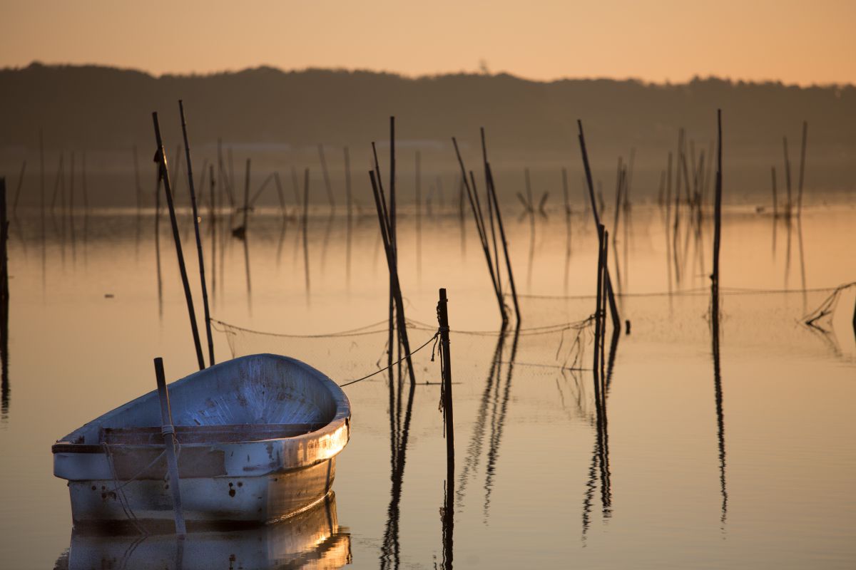 出番待ち | GANREF