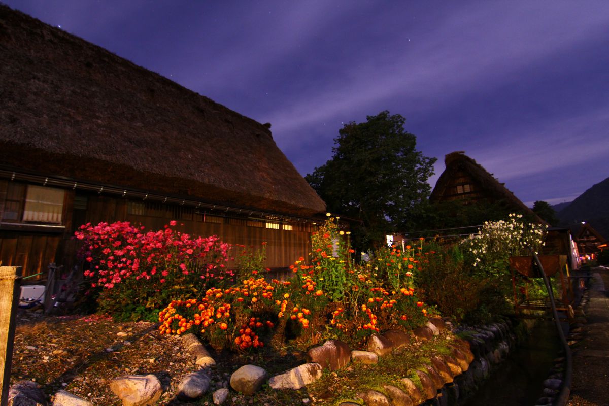 月夜の下に | GANREF