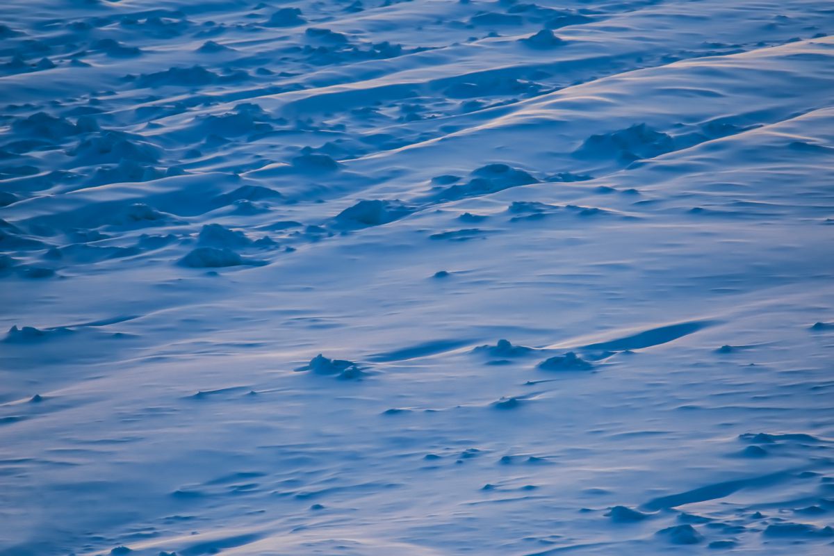 Snow and Ice | GANREF