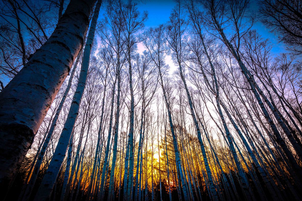 Heat and cold | GANREF