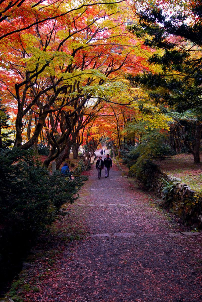 鶏足寺にて2 | GANREF