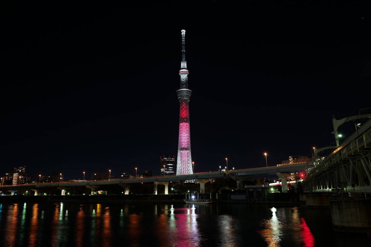Tokyo Sky Tree : The force awaken | GANREF