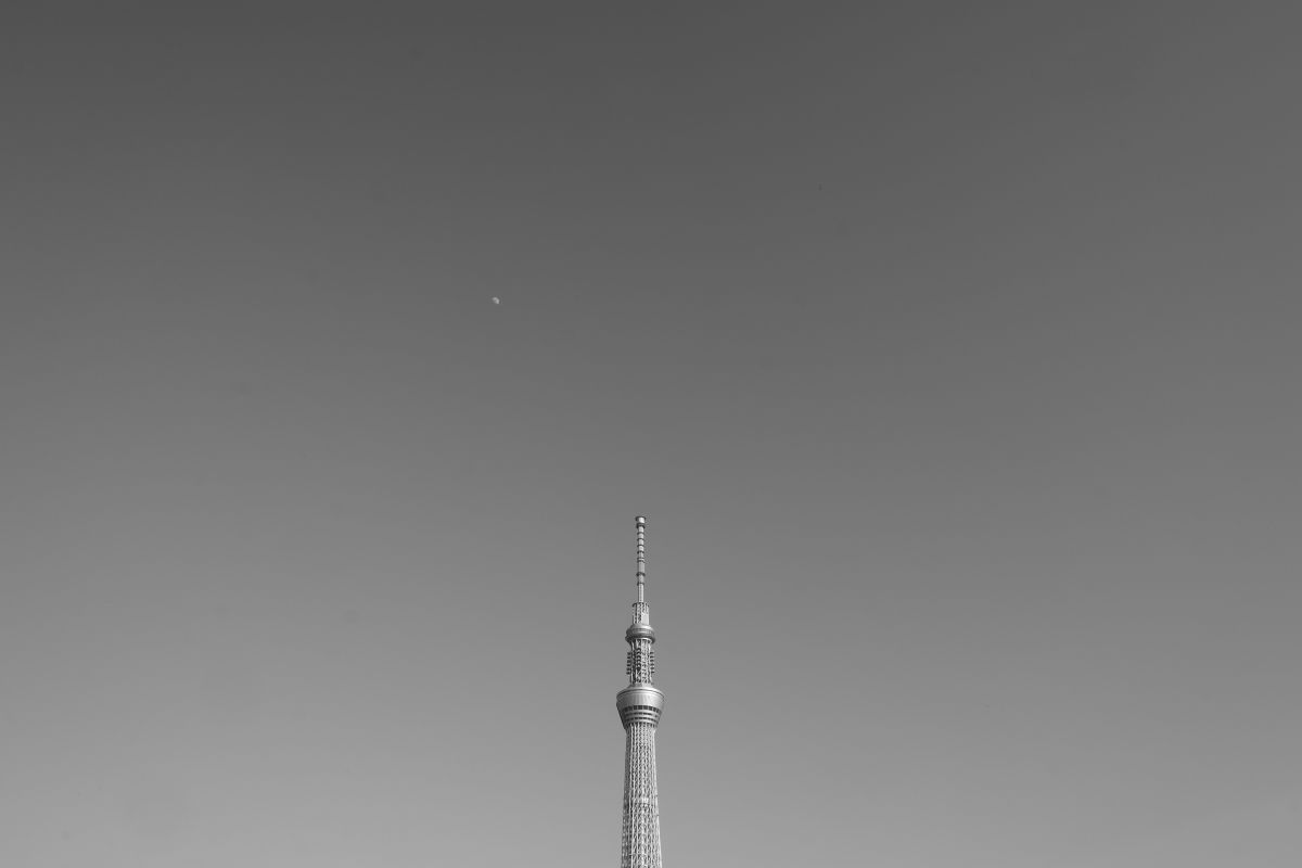 Skytree is not alone | GANREF