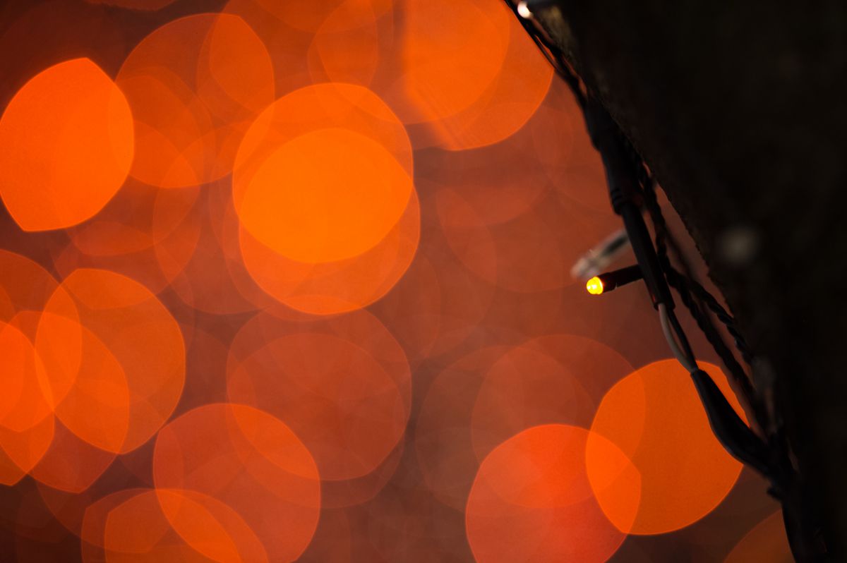 Orange Bubbles | GANREF