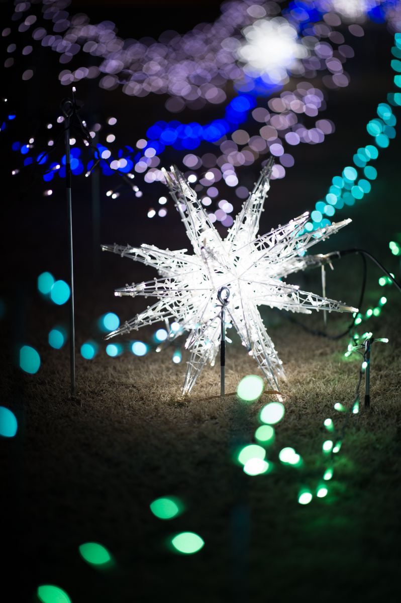 Twinkle, twinkle, little star | GANREF