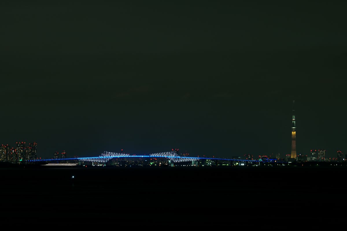 Gate Bridge and Sky Tree | GANREF