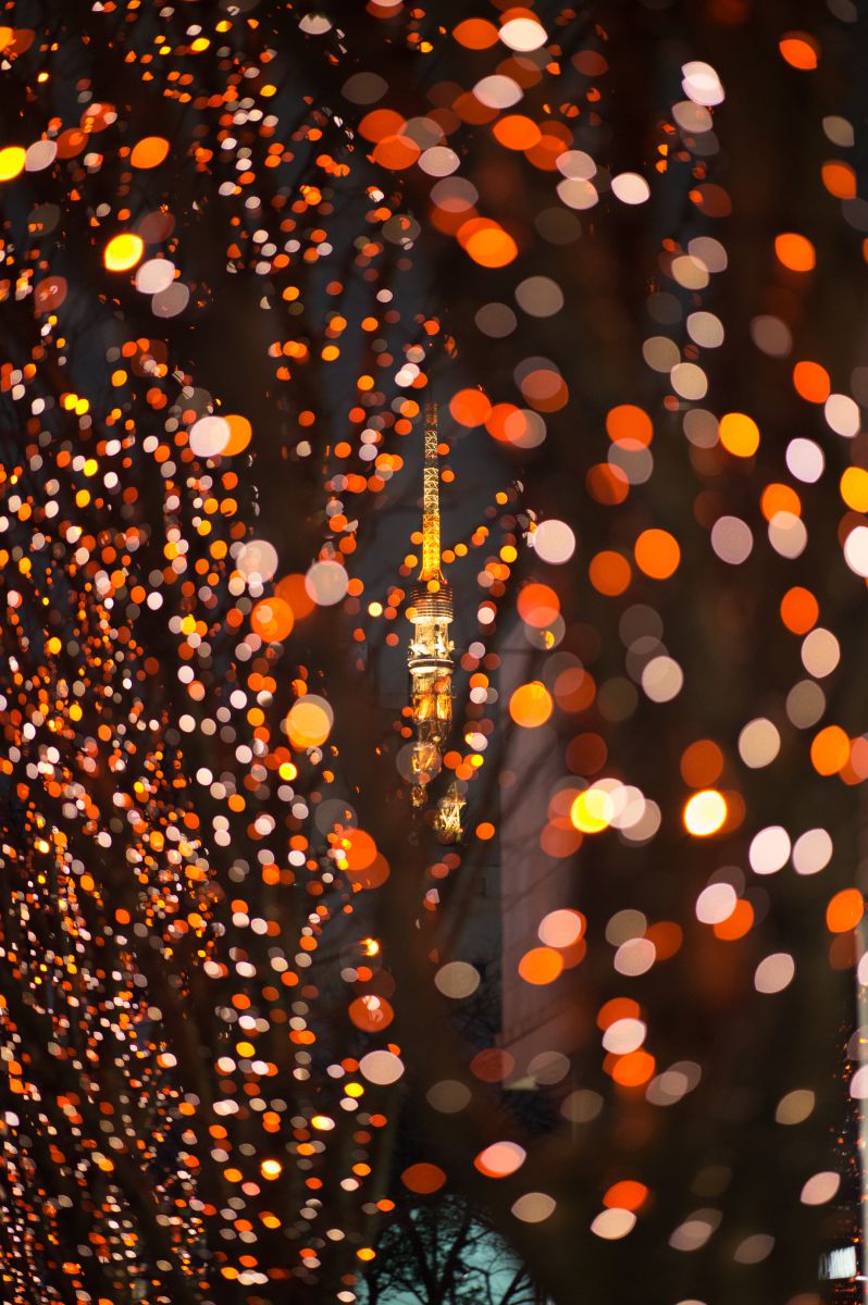 Tower in orange forest | GANREF