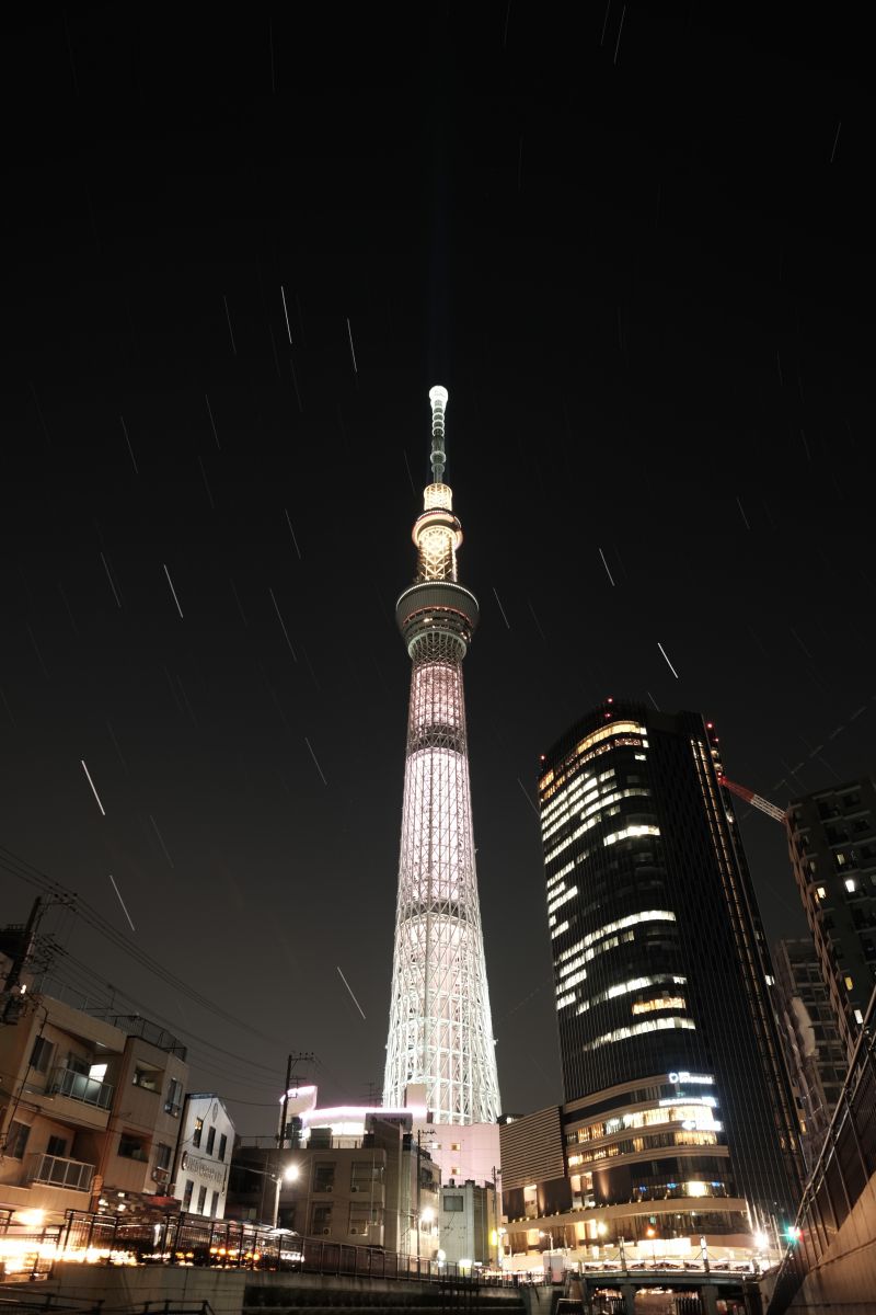 Tree and stars | GANREF