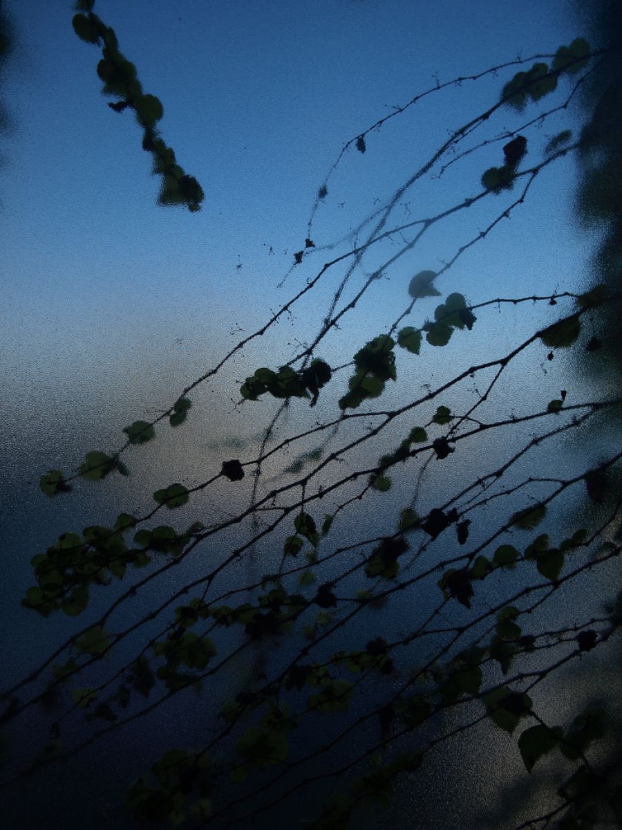 THROUGH THE WINDOW | GANREF