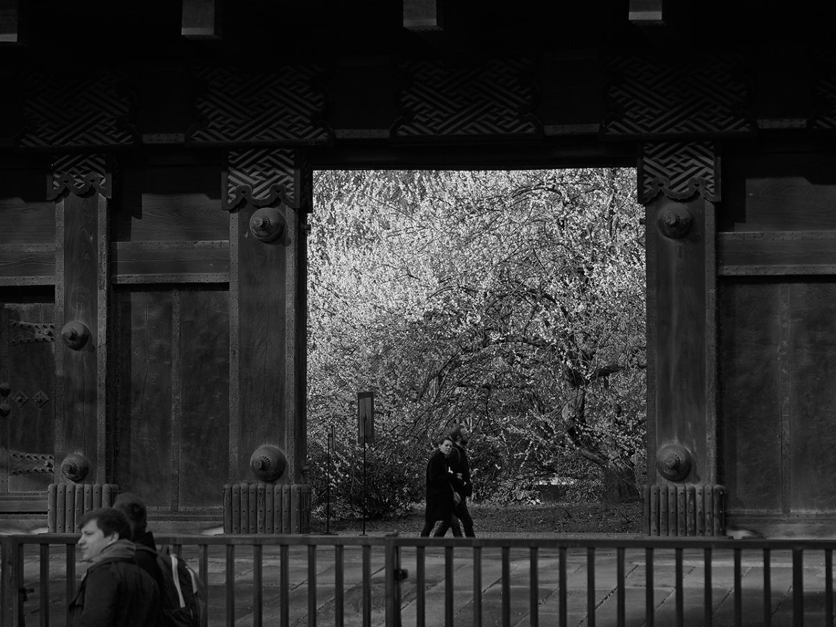 Hello There | GANREF