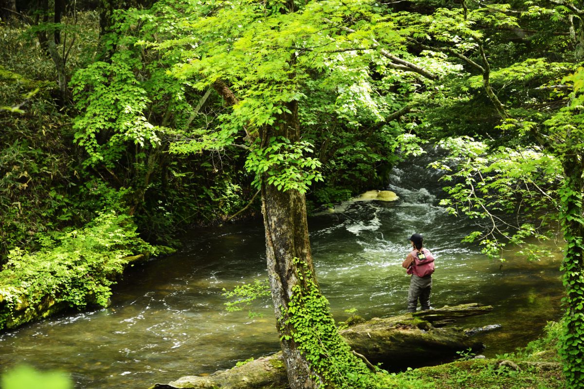 女釣り人 | GANREF