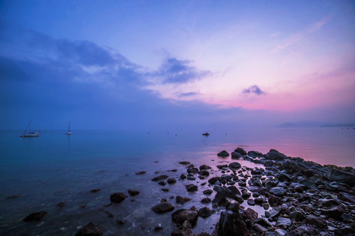 seashore of dawn | GANREF