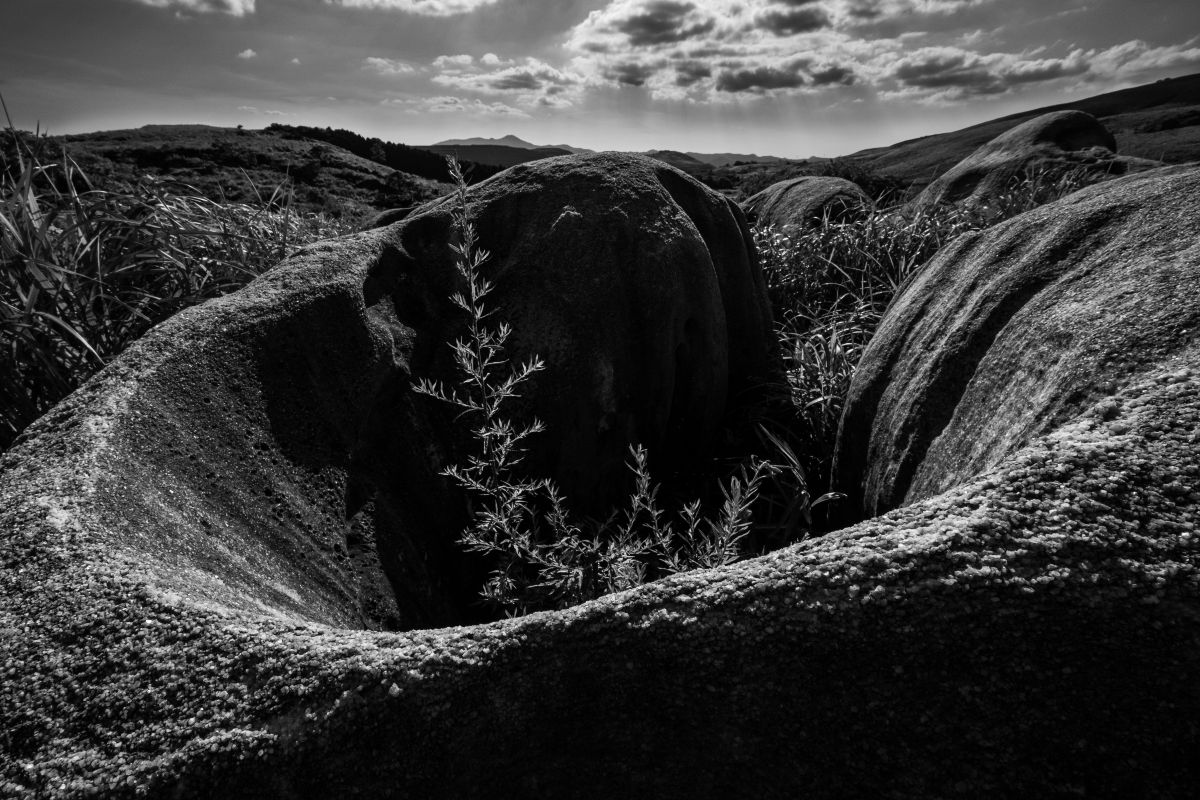 平尾台 B&W #2 | GANREF