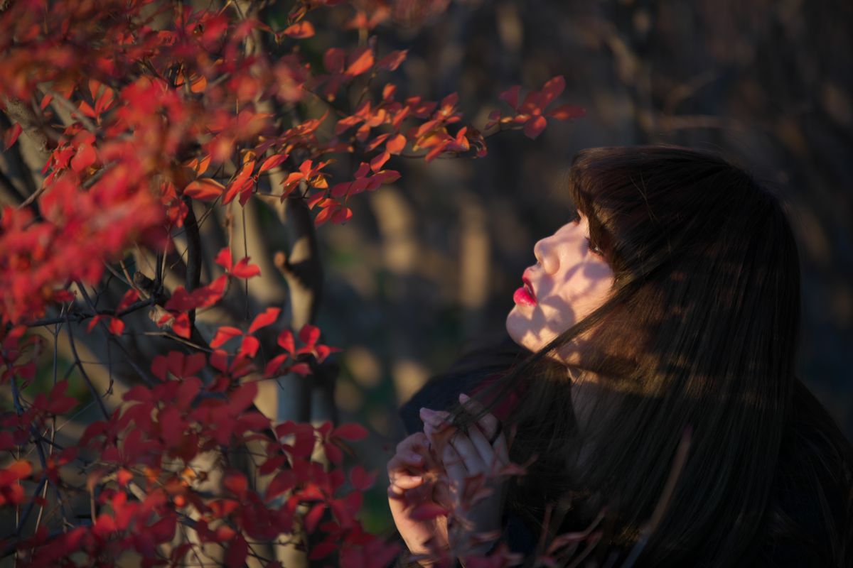 Ayano 2016 冬14 | GANREF