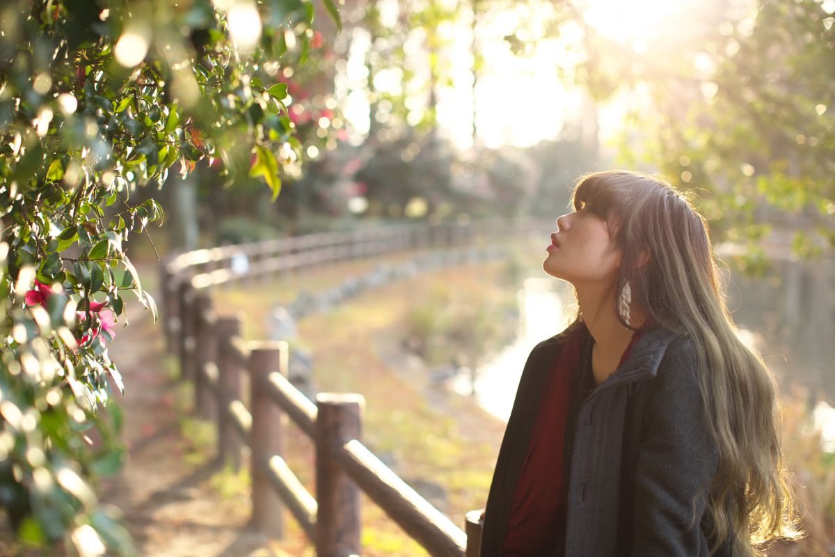 Ayano 2016 冬11 | GANREF