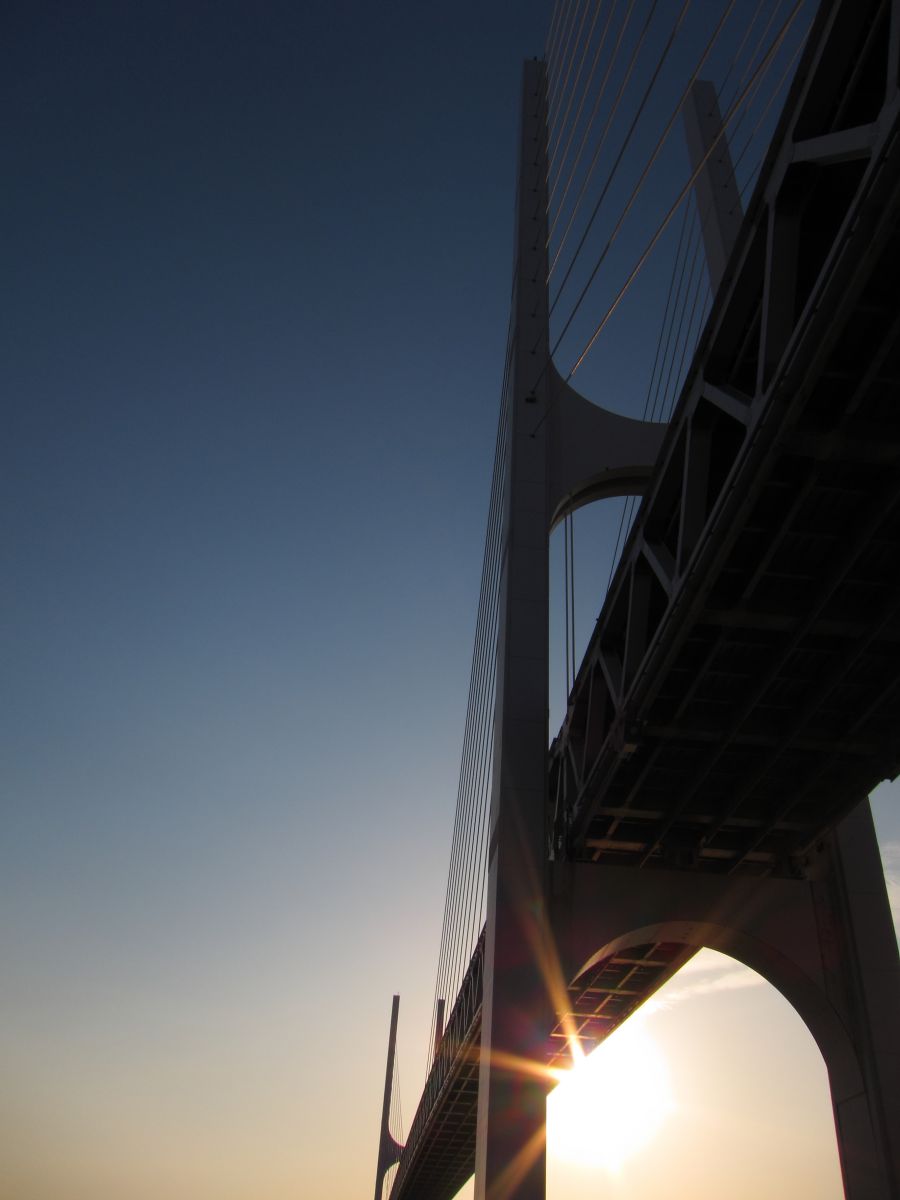 Graceful Shape | GANREF