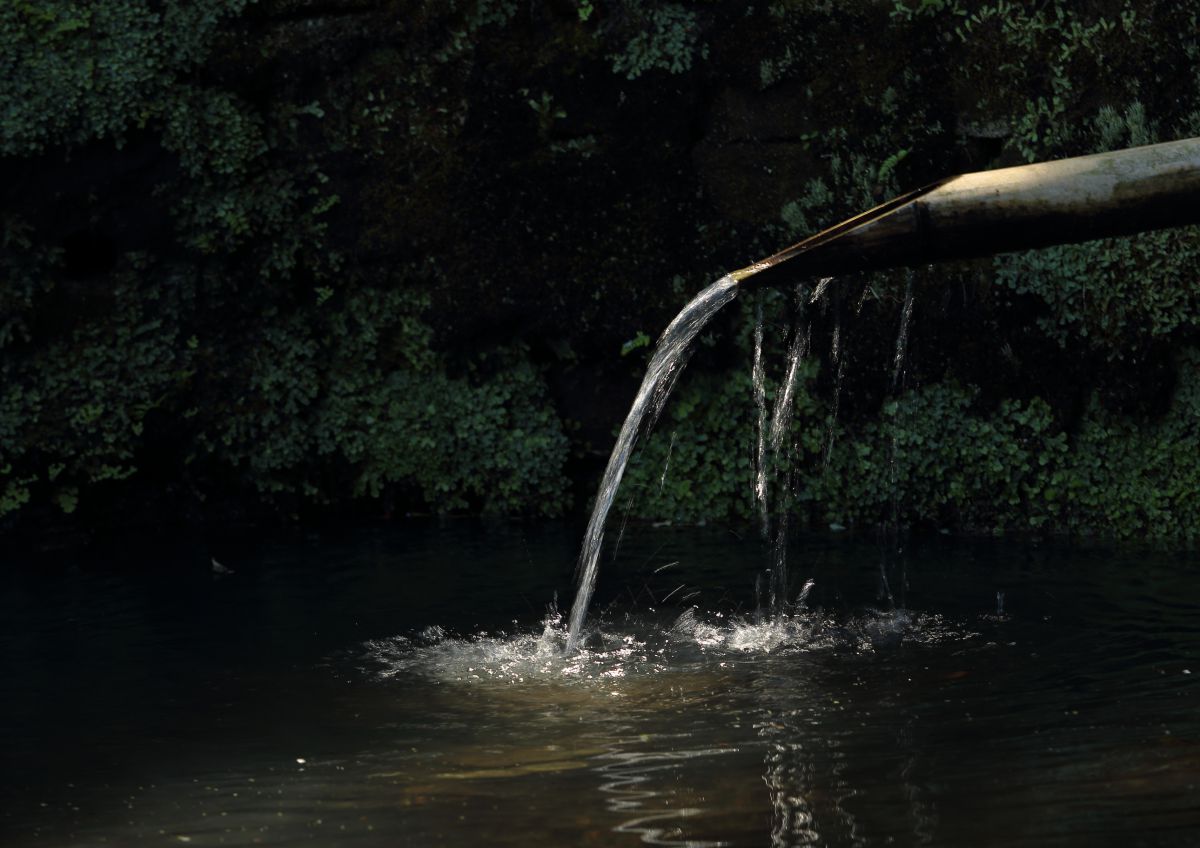 Water(甘露) | GANREF